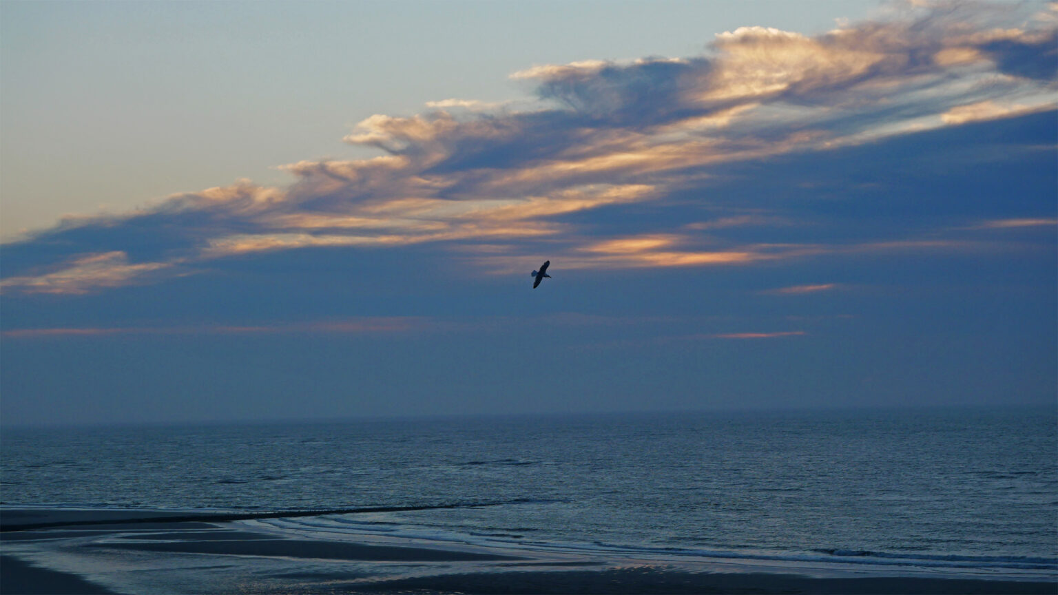 Strand und Strandkörbe auf Wangerooge - Die Inseln der Nordsee
